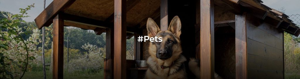 DIY Doggy Delight: Creating a Home Away from Home with a Dog House ...